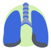 New ST4s – HESW Respiratory